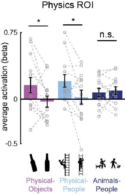 Bar Plot Showing The Average Activation Glm Beta Estimates In The Download Scientific Diagram