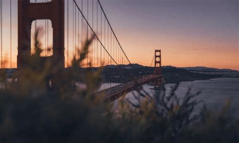 车辆贬值损失属于保险赔偿范围么？ 知乎