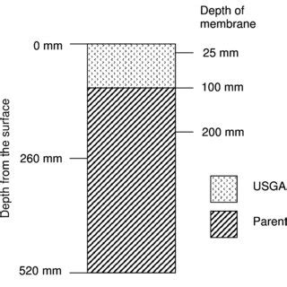 Vertical Construction Of The Soil Profile Used In The Physical Download Scientific Diagram