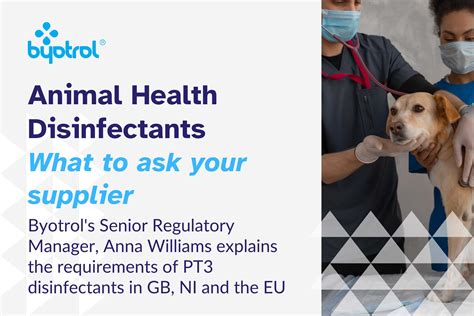 Ensuring Compliance Common Biocidal Product Errors In The Veterinary