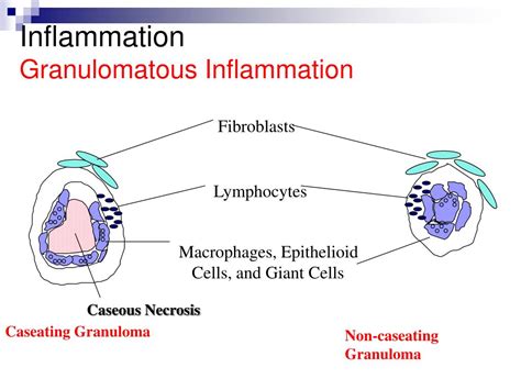 Ppt Pathology Powerpoint Presentation Free Download Id6563696