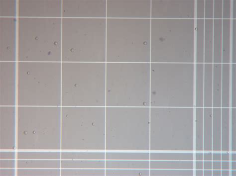 Detect Count And Visualize Instance Segmentation Instance