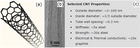 A Schematic Of A Cnt B Tem Image Of A Cnt Showing A Number Of