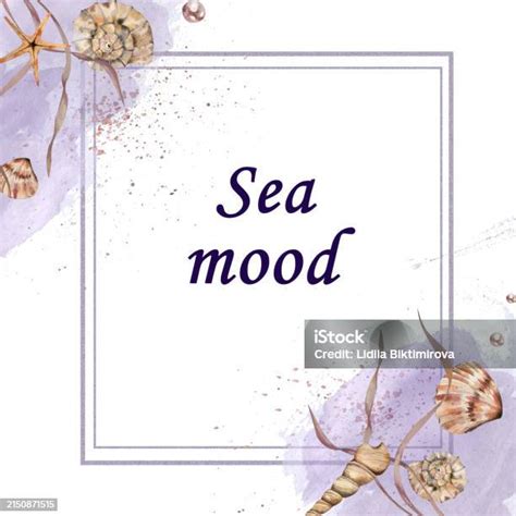 해양 테마 초대장 카드 조개껍데기 해초 수채화 그림입니다 라일락 색상 초대장 여름 액세서리 엽서 여행 목록 여행사 명함 포장 화장품 가리비에 대한 스톡 벡터 아트 및 기타