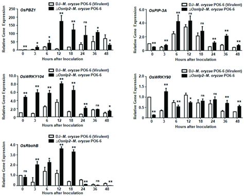 Real Time Qrt Pcr Analysis Of Time Course Expression Of Some Download Scientific Diagram