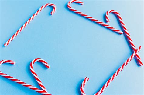 크리스마스 구성 크리스마스 사탕 지팡이 플랫 누워 파스텔 핑크 배경에 상단 보기 휴일 축제 축하 인사말 카드 와 복사 공간 Fo 텍스트 사탕 지팡이와 전나무 가지 배너 엽서