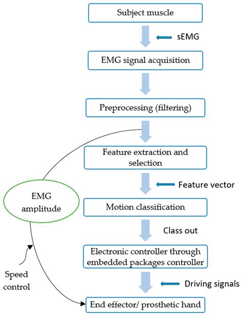 Sensors Free Full Text Real Time Emg Based Pattern Recognition Control For Hand Prostheses