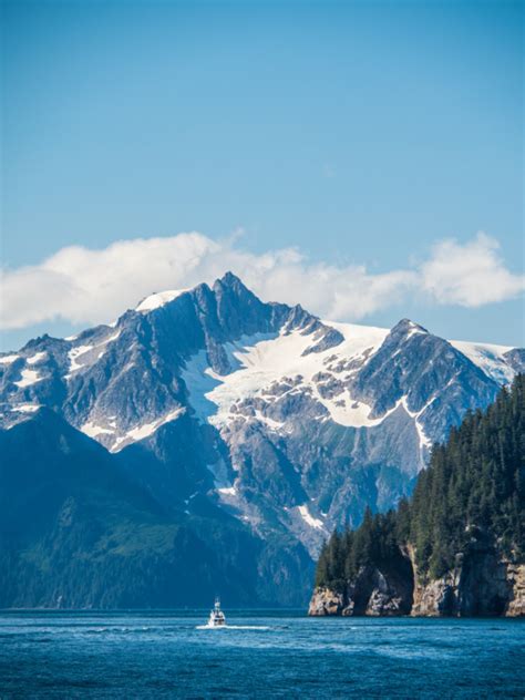 Major Marine Kenai Fjords Cruises A Cant Miss Alaska Highlight The