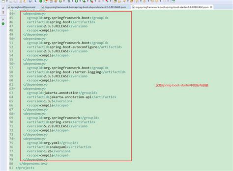 Springboot常用starter介绍 我是一只老白兔 博客园