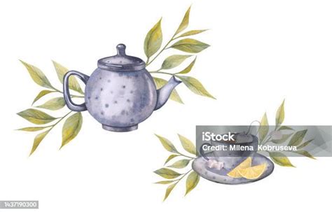 수채화 그림 차 세트 흰색 배경에 격리된 손으로 그린 카드 패키지 디자인 조리 기구에 대한 차 세트 그림 구도에 대한 스톡 벡터 아트 및 기타 이미지 Istock