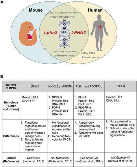 A Schematic Illustration And Summary Indicating The Applicability Of
