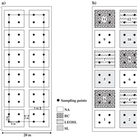 A Soil Sampling Locations In The Experimental Plot B Distribution