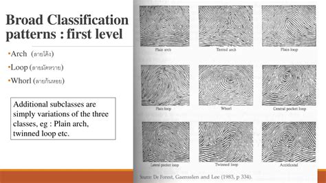 Ppt Dactyloscopy Fingerprint Identification Powerpoint Presentation