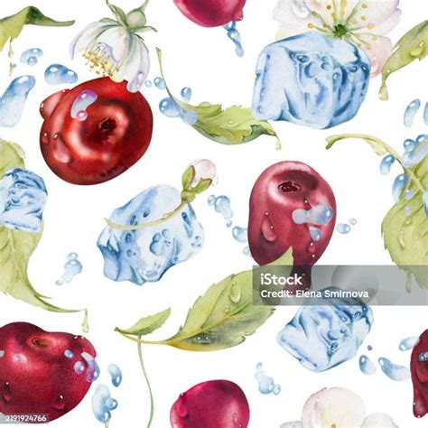 달콤한 신맛 체리 선홍색 물 얼음 조각 튀는 방울 수채화 손으로 그린 빨간 베리 잎 흰 꽃 완벽 한 패턴 타일 그림입니다 레스토랑 디저트 메뉴 파머스 마켓 0명에 대한 스톡