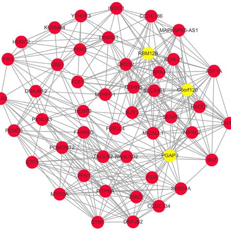 Sub Network Of Co Expression Matrices Cem There Were 48 Nodes And Download Scientific