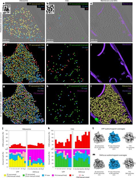 Convolutional Networks For Supervised Mining Of Molecular Patterns