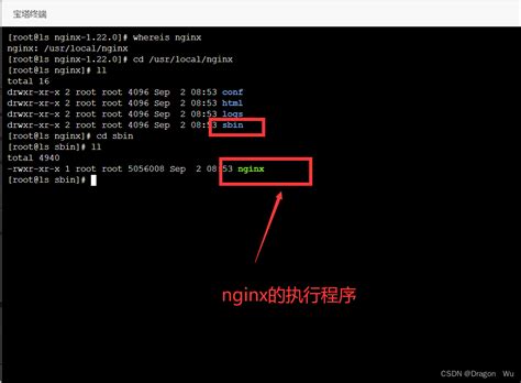 Linux服务器安装nginx教程linux服务器 安装完ngin Csdn博客