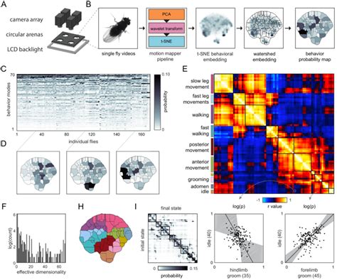 Correlation Structure Of Unsupervised Behavioral Classifications A