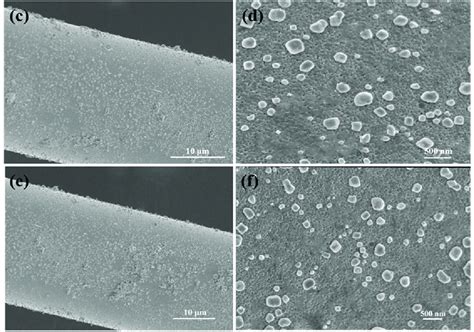 SEM Images Of TF A B CTF C D And S CTF E F Download Scientific Diagram