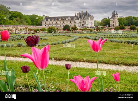 Garden Of Diana De Poitiers Château De Chenonceau 16th Century Chenonceaux Indre Et Loire