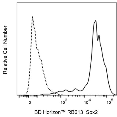 Rb613 Mouse Anti Sox2