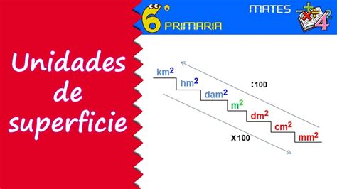 MuÉvete Y Cambiaremos El Mundo La Superficie Metro Cuadrado