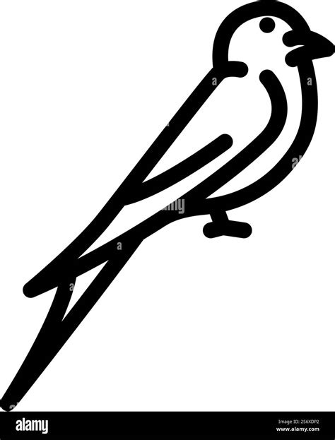 Swift Bird Line Icon Vector Swift Bird Sign Isolated Contour Symbol Black Illustration Swift
