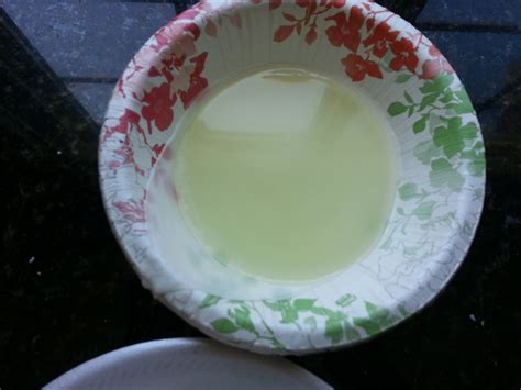 make a two part reusable mold using plaster 9 steps instructables