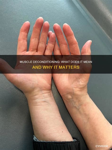 Muscle Deconditioning What Does It Mean And Why It Matters Cyvigor