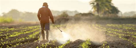 Insecticides Overview Types Uses And Benefits A Comprehensive Guide