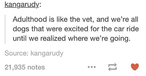 Adulthood Explained Perfectly Imgur