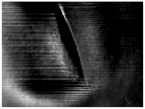 Set50 Object Detection Dataset By Jinpu Lin