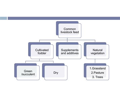 Classification Of Feed And Forages Pptx