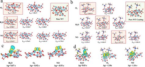 Adsorption Configuration And Adsorption Energy Of H2o O2 And No On