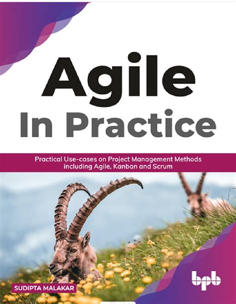 agile in practice practical use cases on project management methods