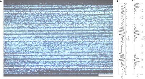 Generation Of Multiple Discrete Patterning Regions A The Application Download Scientific
