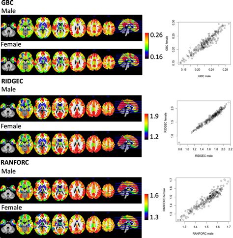 multivariate brain functional connectivity through regularized