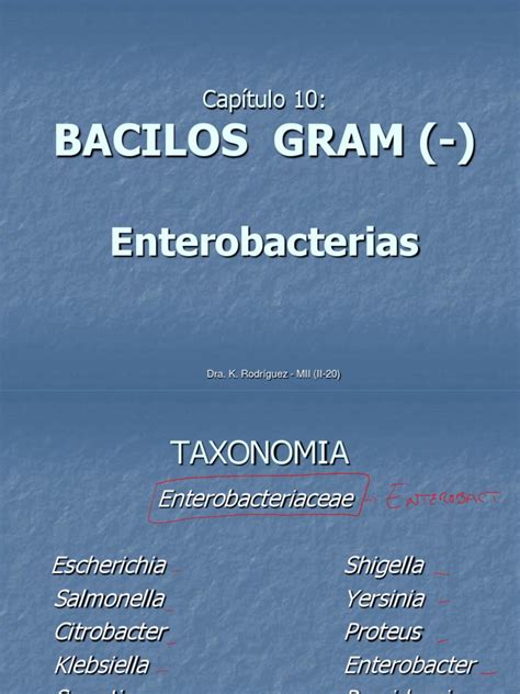 Bg Enterobacterias Pdf Salmonela Escherichia Coli