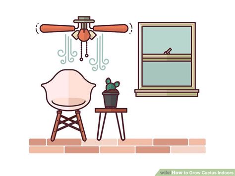 How To Grow Cactus Indoors With Pictures Wikihow