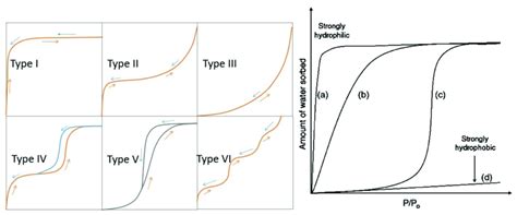The Iupac Classification Of Adsorption Isotherms Showing Both The🤠