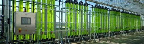 Microalgae The Future Of Sustainability Algae Products International