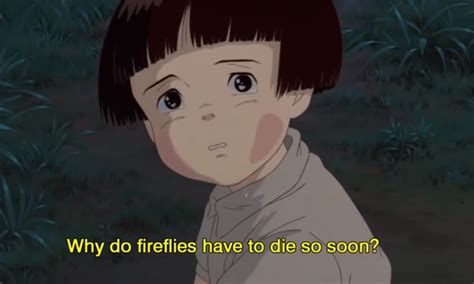 Grave Of The Fireflies
