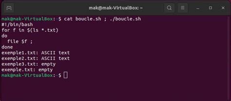 La Boucle For En Bash Linux Avec 10 Exemples