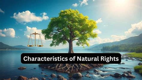 Explore The Key Characteristics Of Natural Rights Effective Laws