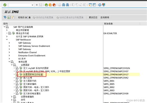 Sap S4 Fi后台详细配置教程 Part1 （通用配置及基础架构篇）sap S4 Fico配置清单 Csdn博客