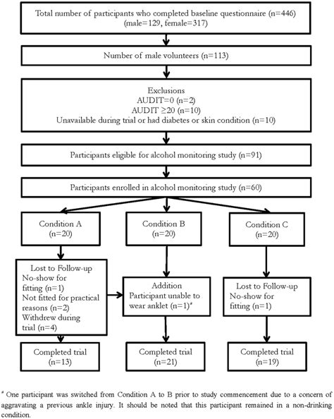 Flow Diagram Outlining Participant Recruitment Condition Allocation