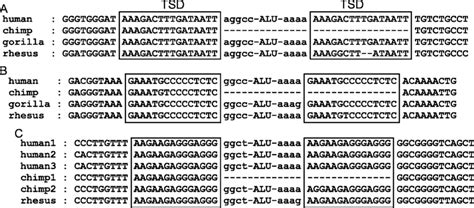 Sequence Evidence For Precise Alu Element Deletion A B Cases 33 And Download Scientific