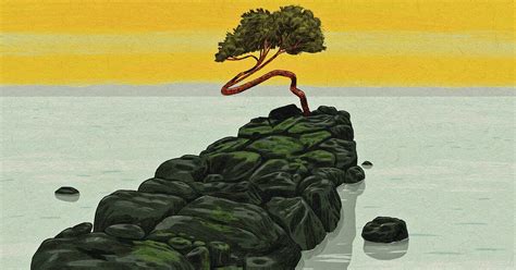 Sarah Wildman I Am Trying To See What My Beautiful Daughter Saw