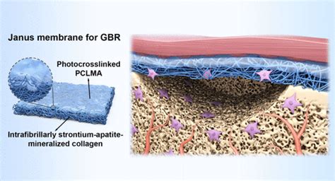 Acs Nano Vol 18 No 9 Acs Publications