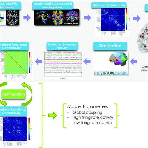 schematic representation of the experimental and modeling workflow